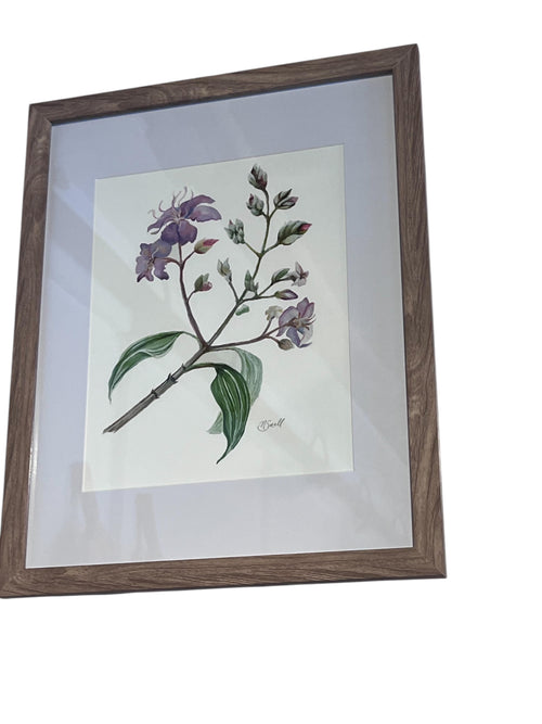 Anew by Nancy Snell – Seaside Gallery and Goods