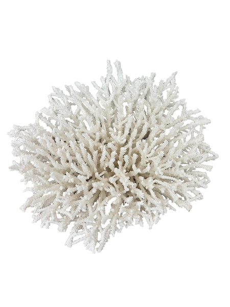 NS Coral Lacey Large – Seaside Gallery and Goods